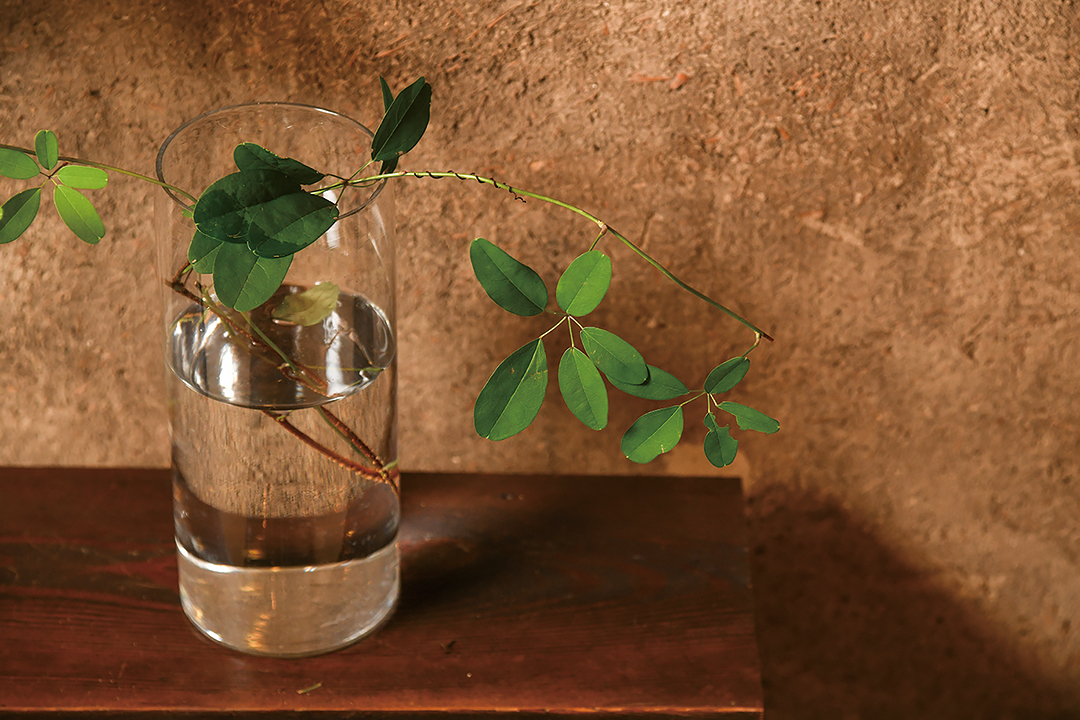 築110年、和の空間でお茶を愉しむ。京都駅徒歩10分のカフェ[aotake]【京都市下京区】 ｜ KYOTOLIFE